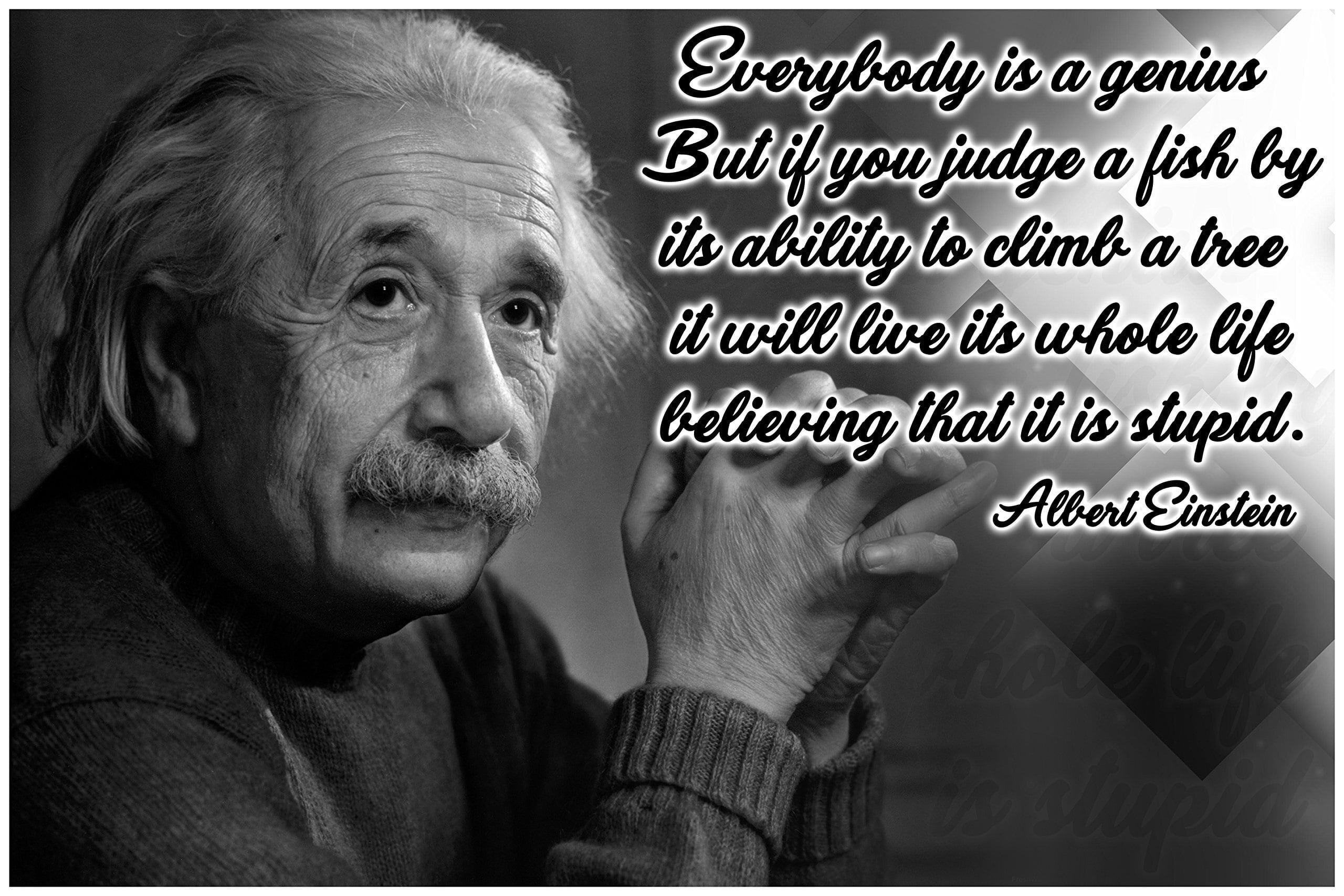 Math Posters Science Posters Albert Einstein Quote Poster | Albert ...