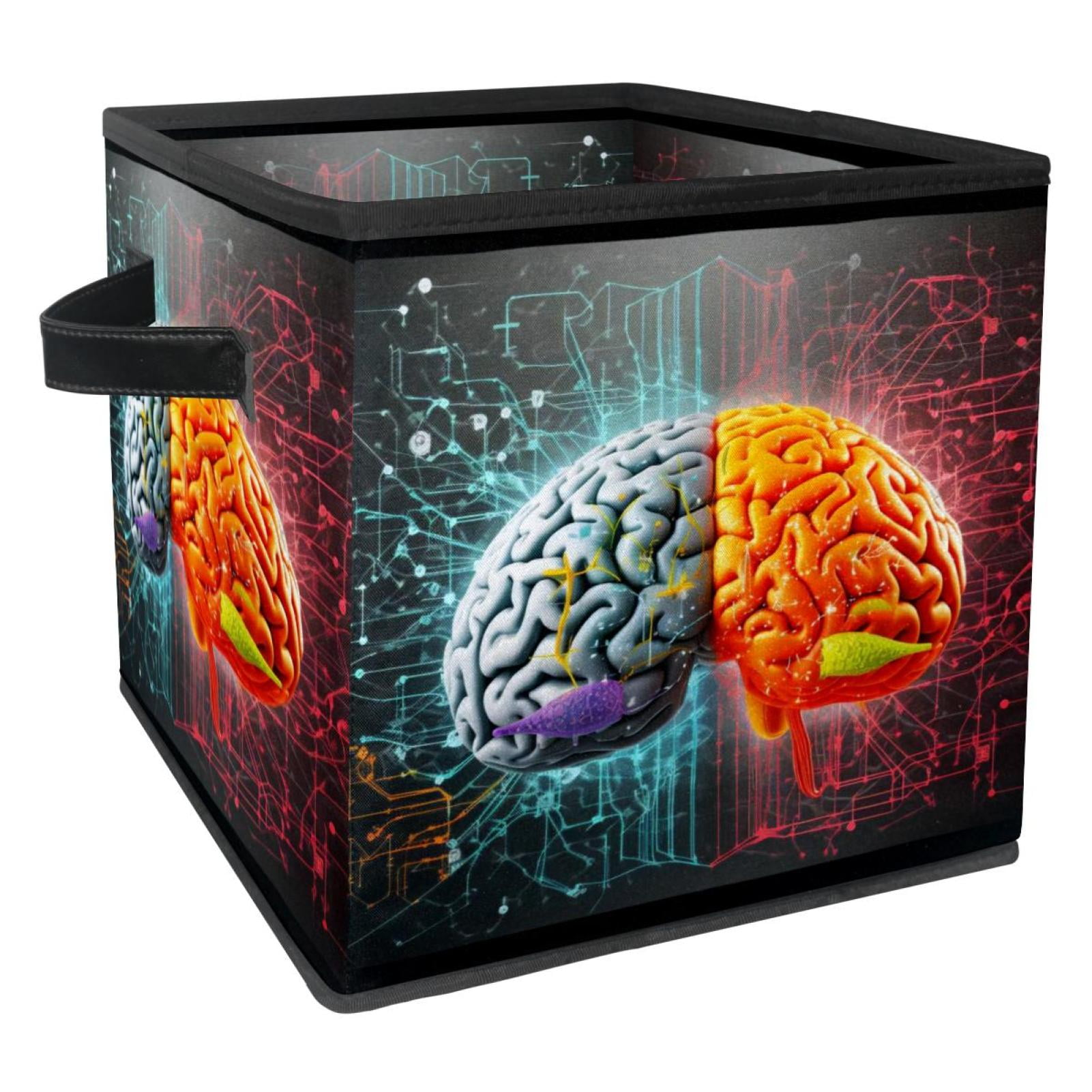 Mathematical Engineering Foldable Cube Organizer with Handle, 10.8"x10 ...