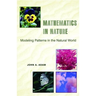 Enterprise Model Patterns: Describing the World (UML Version) (Paperback) - Walmart.com