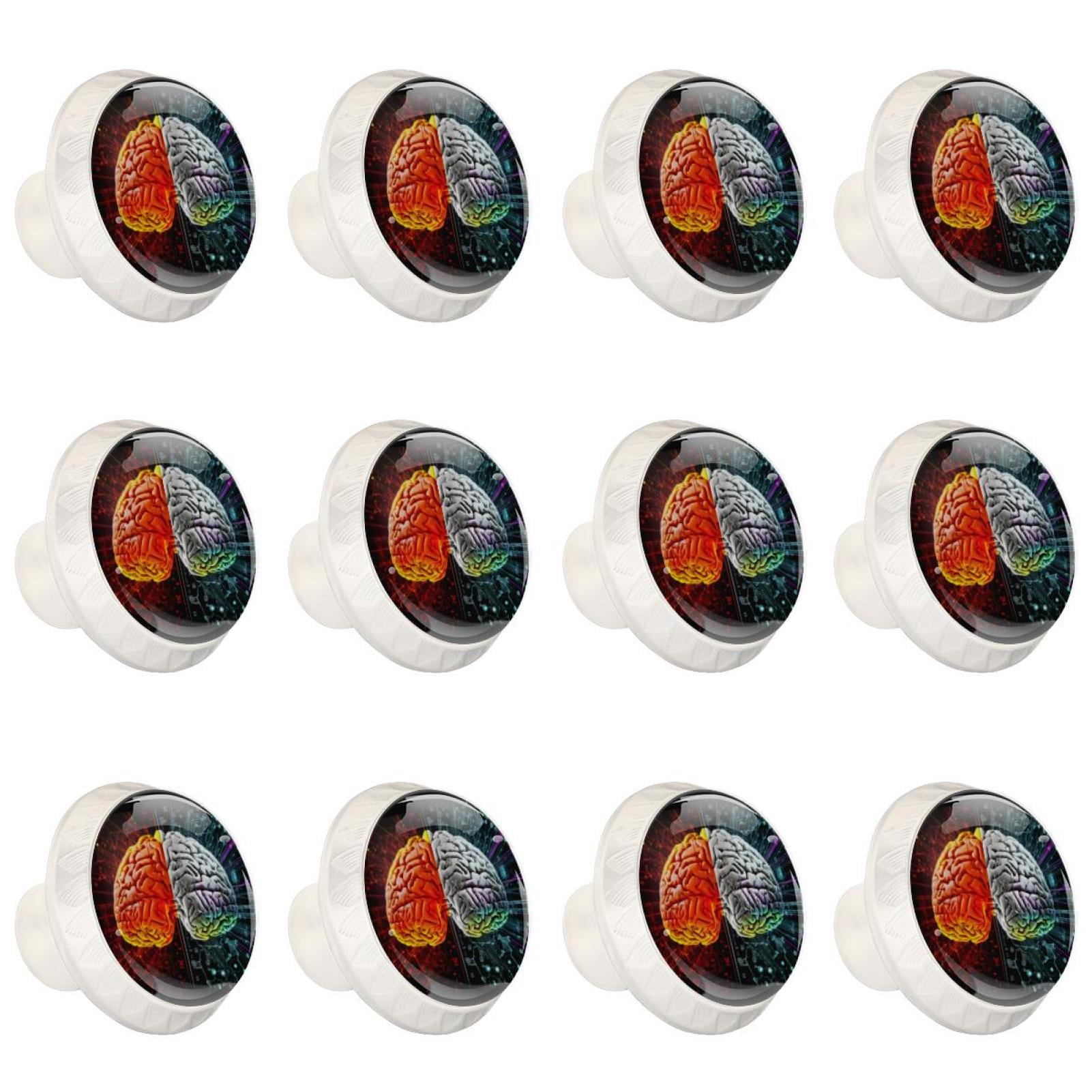 Maths Engineering 12 Pcs White Round Drawer Pulls with Screws,ABS and ...