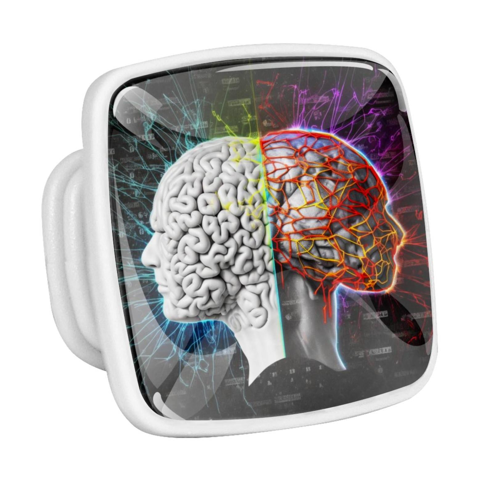 Maths Engineering Fluorescent Drawer Pulls with Screws Square 4-Pack ...