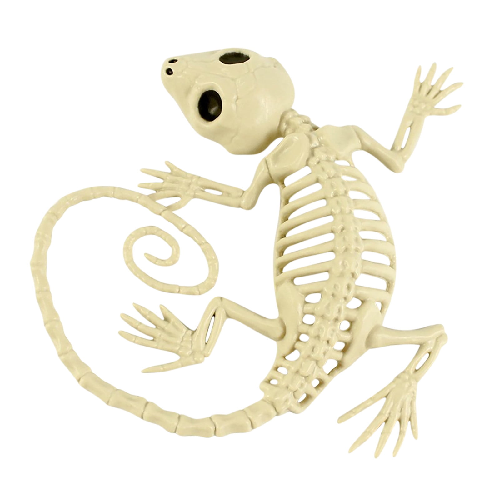 Matoen Halloween Animal Skeleton Decorations, Animal Bones Skeletons ...