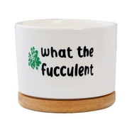 3 Inch Terra Cotta Pots with Drainage - 20 Pack Clay Flower Pots ...