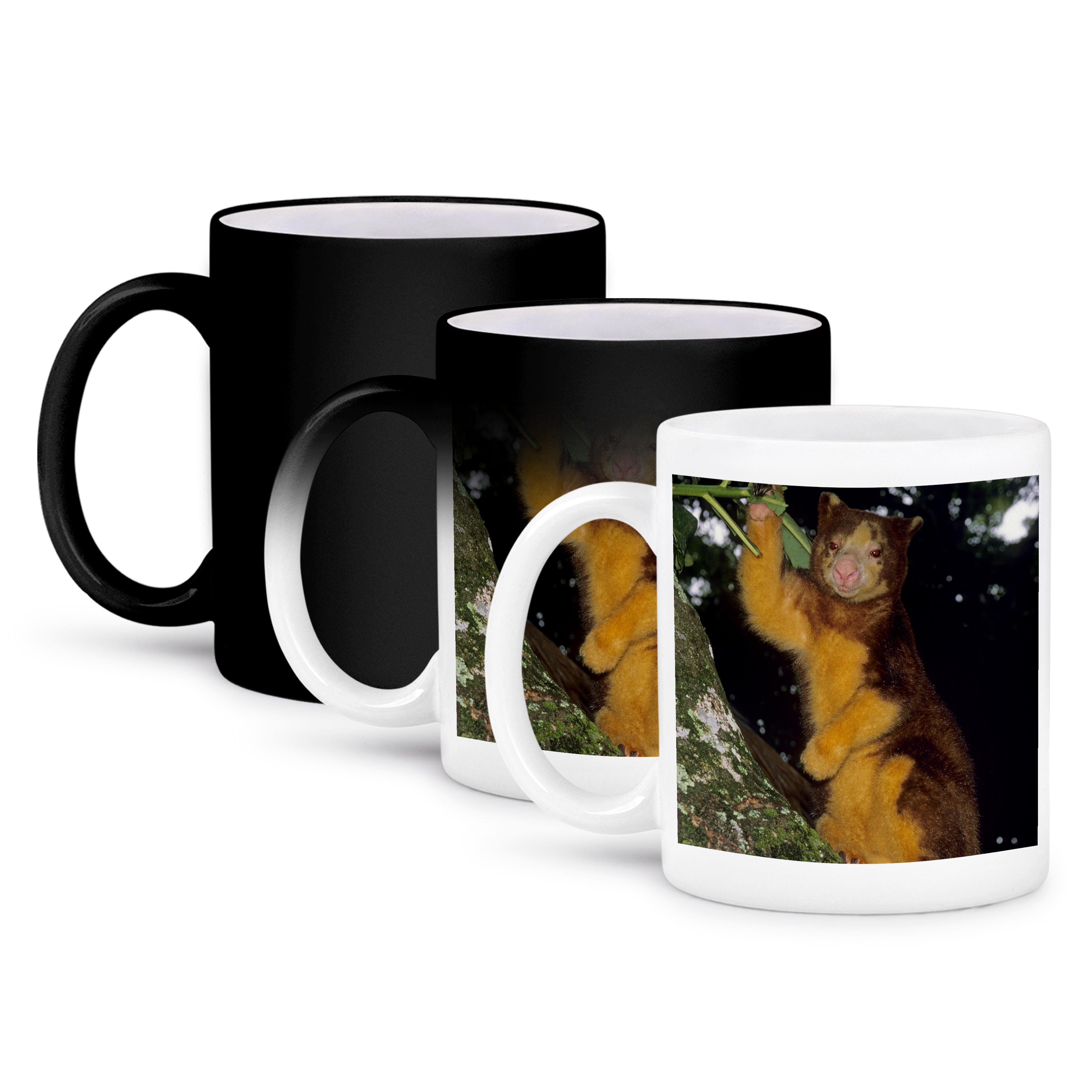 3dRose, Matschies Tree Kangaroo, Papua New Guinea - OC12 KSC0006 ...