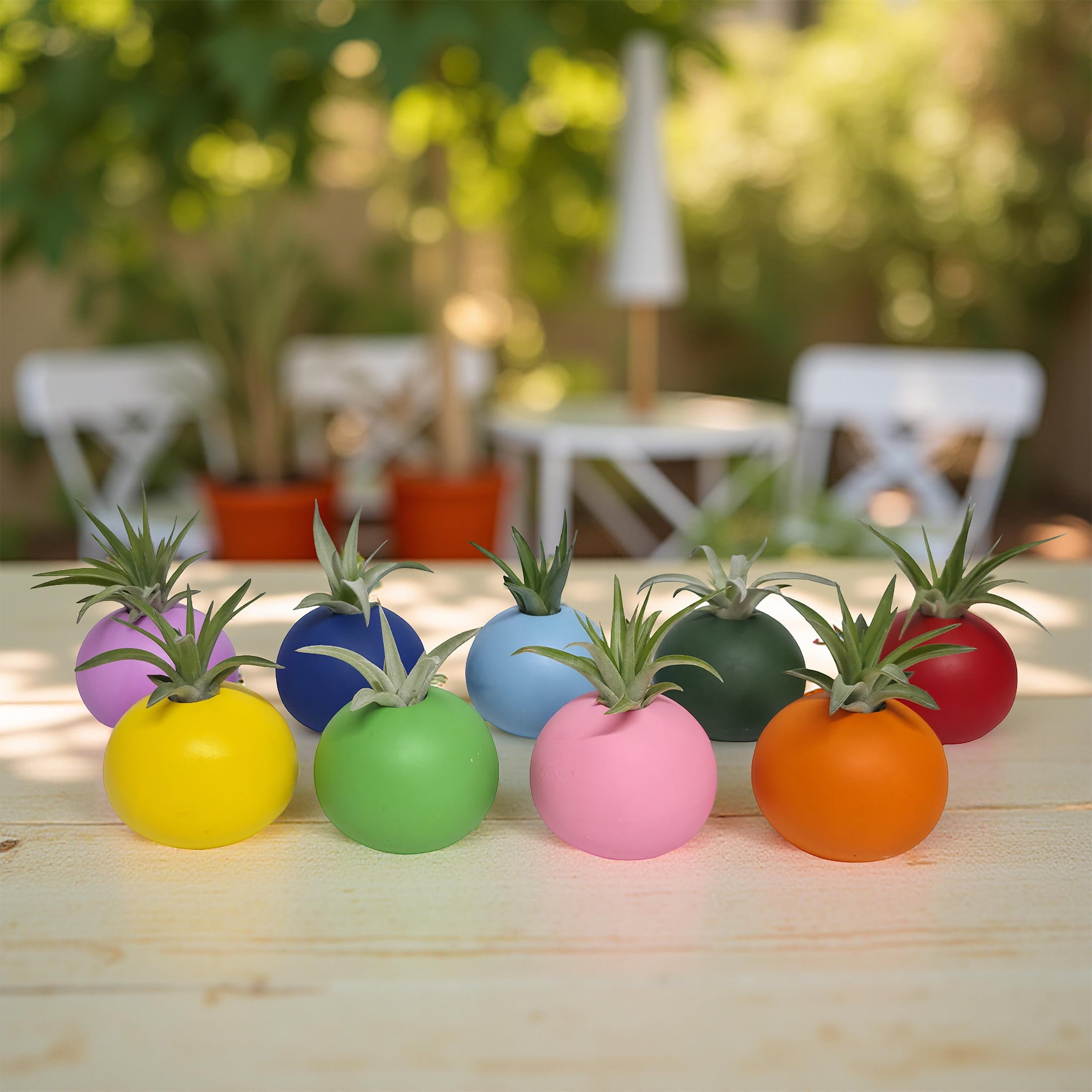 9-Piece Matte Bubble Planters with Live Air Plants – Multicolor Pots ...