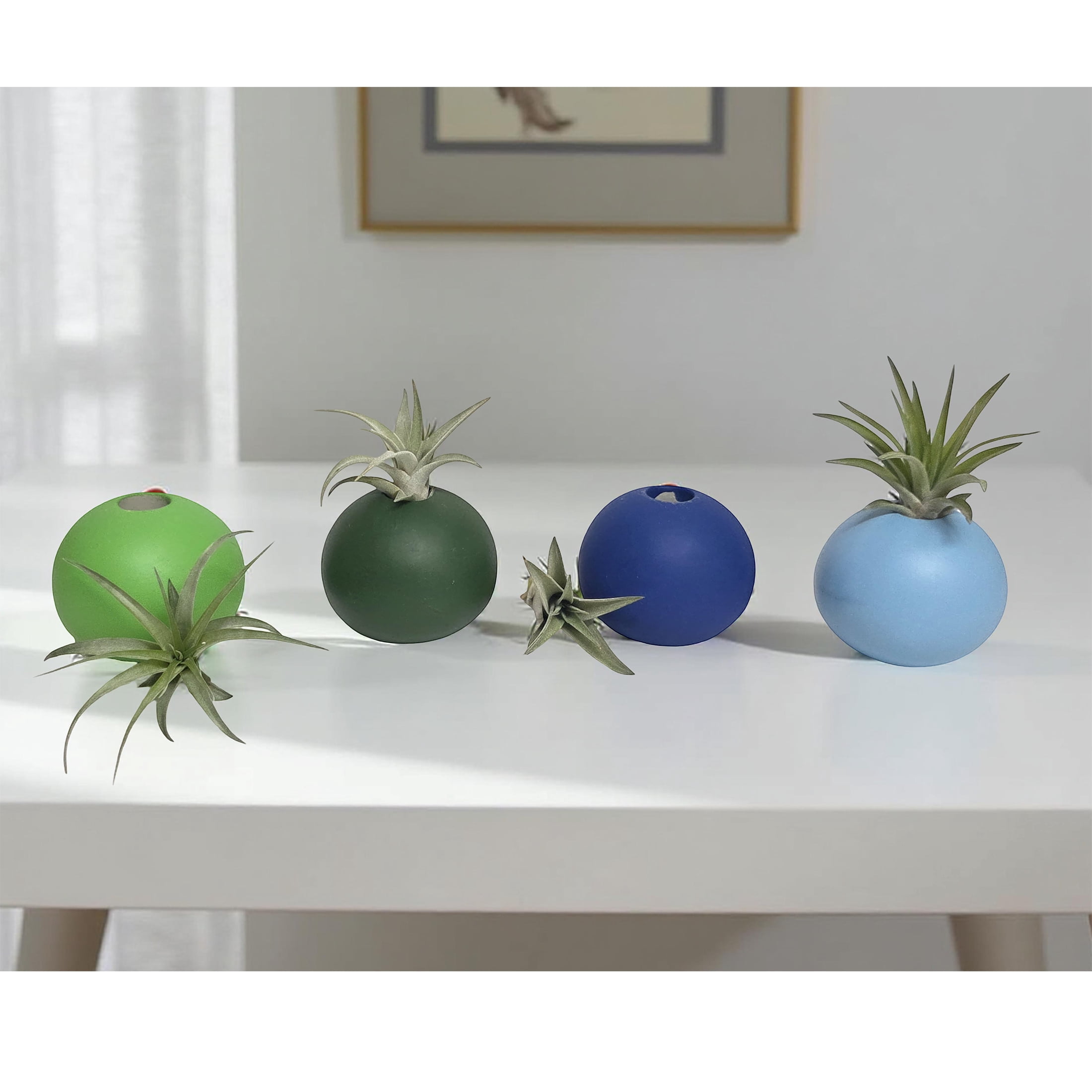 4-Piece Matte Bubble Planters with Live Air Plants – Blue & Green Pots ...