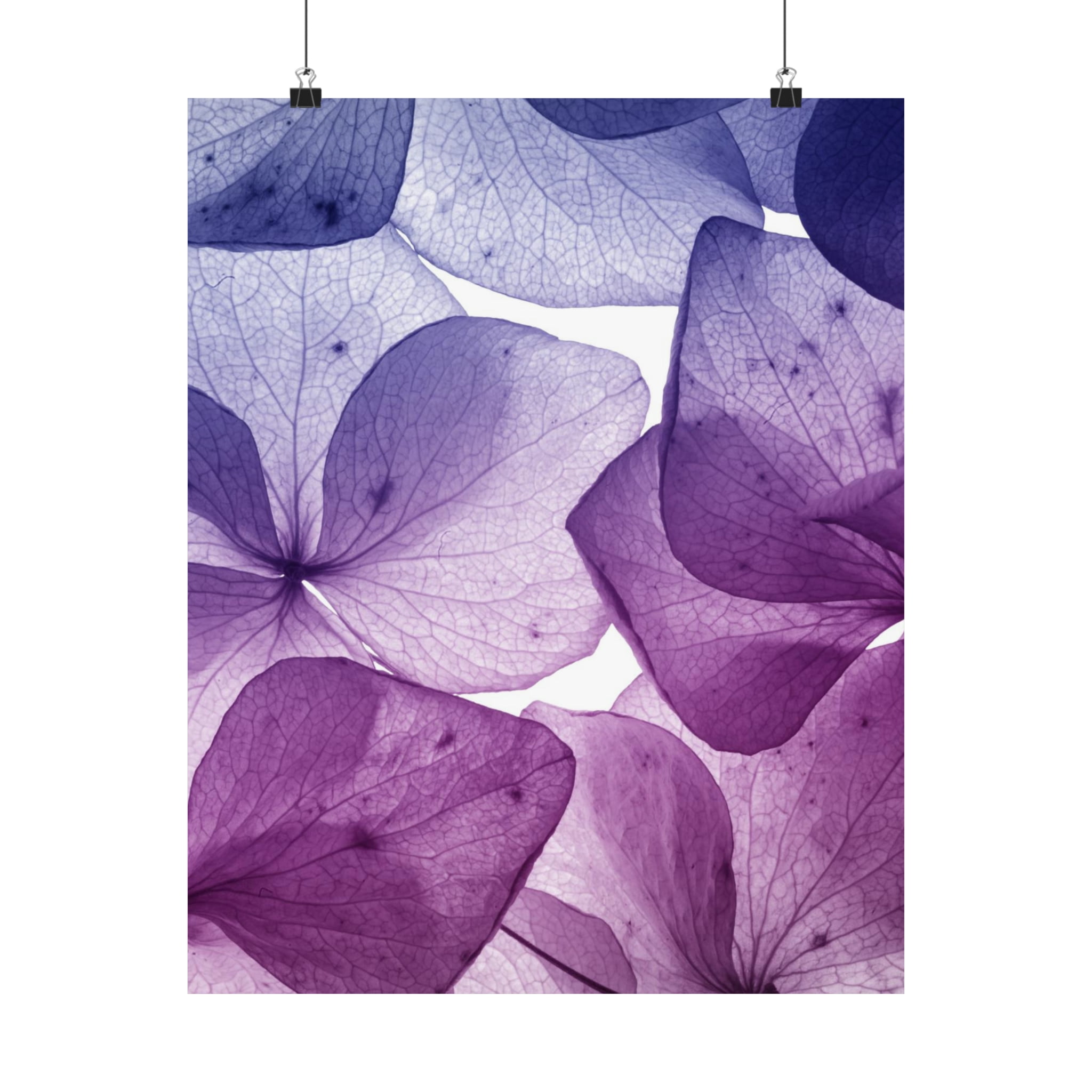 Matte Vertical Posters- Purple Flowers - Walmart.com