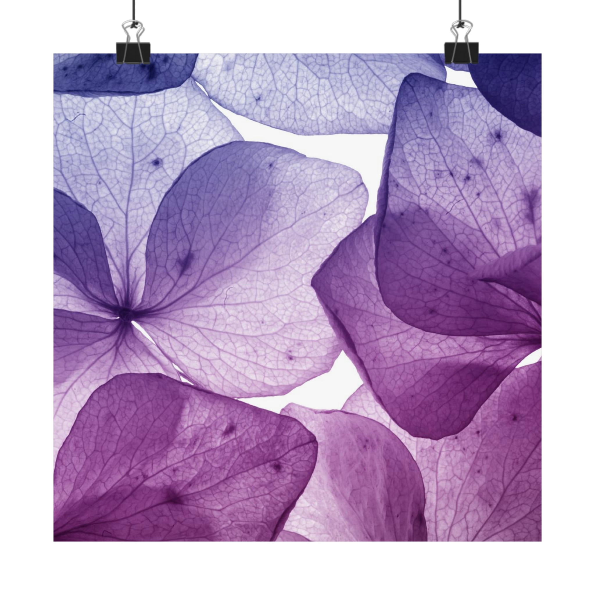Matte Vertical Posters- Purple Flowers - Walmart.com