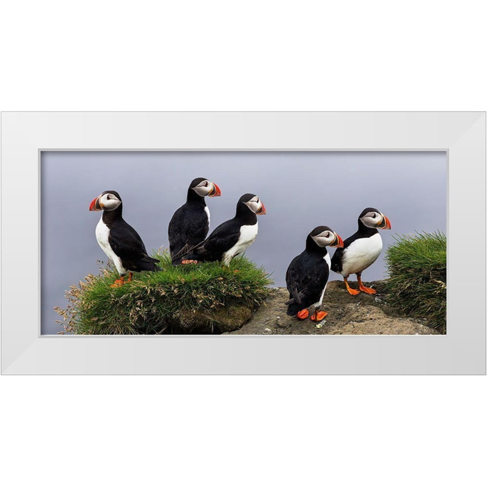 Mattheyses, Eric 18x10 White Modern Wood Framed Museum Art Print Titled - I Dont Care - Walmart.com