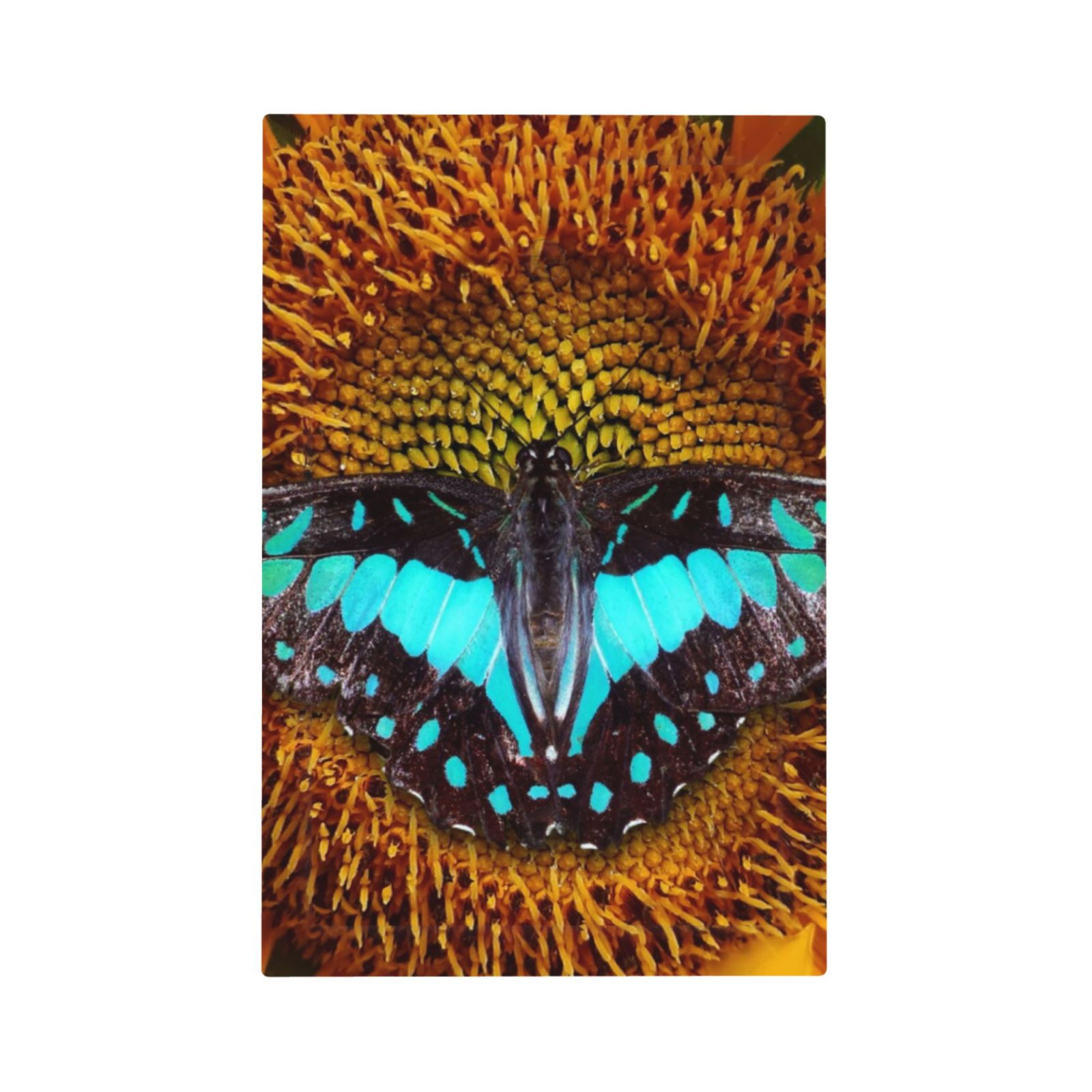 Matuu Butterfly Alighted On Sunflowers for Modern Decorative Wall Plate ...