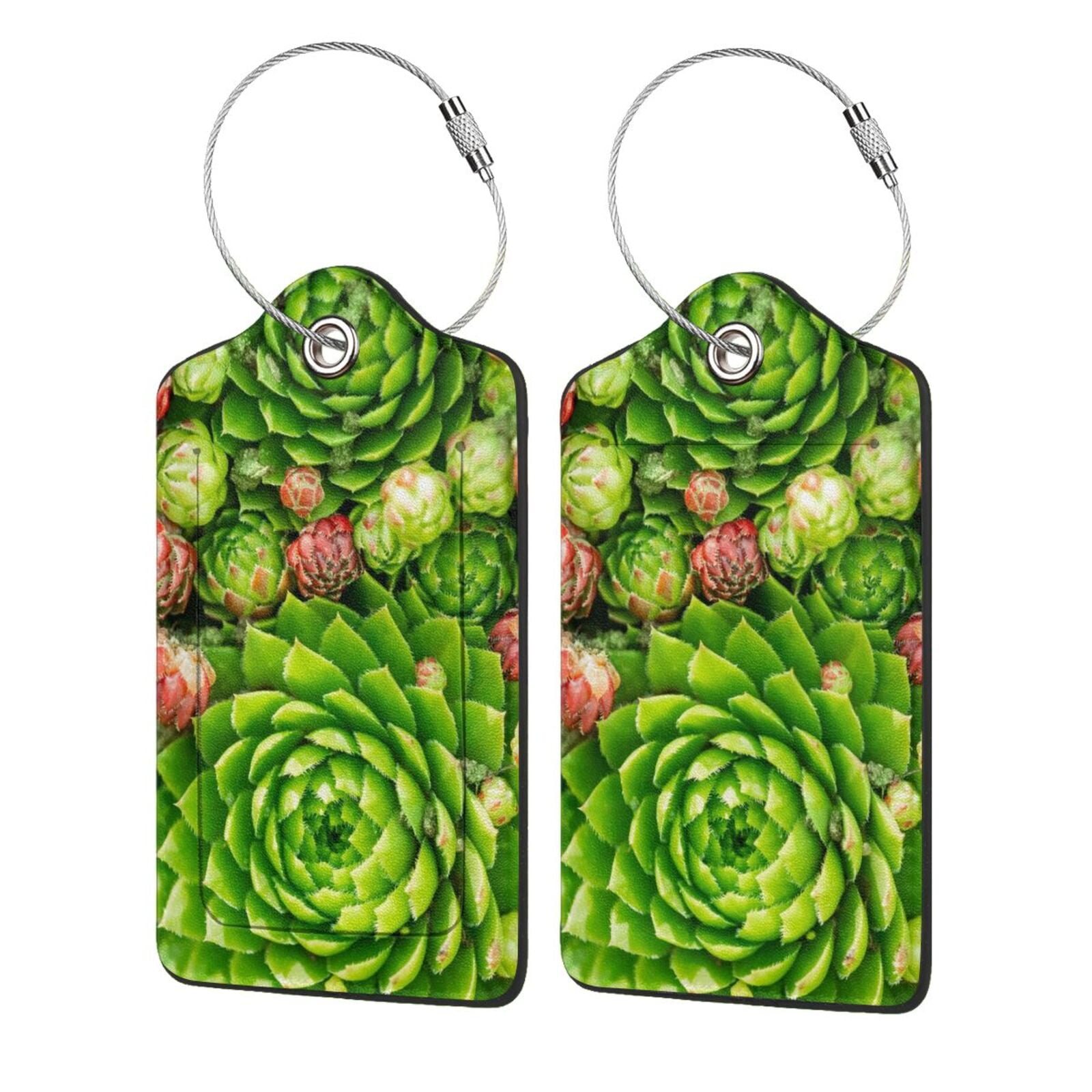 Matuu Cactus And Succulents for Leather Luggage Tag Privacy Cover ID ...