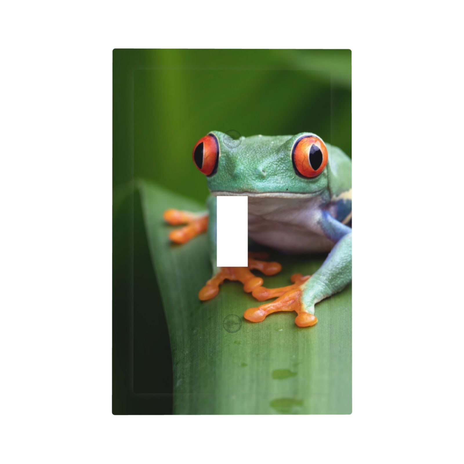Matuu Red-Eyed Tree Frog for Modern Decorative Wall Plate Switch Plate ...