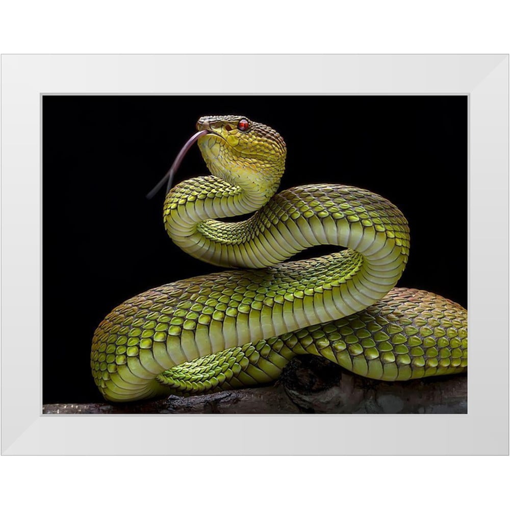 Maududdin, Fauzan 14x12 White Modern Wood Framed Museum Art Print ...
