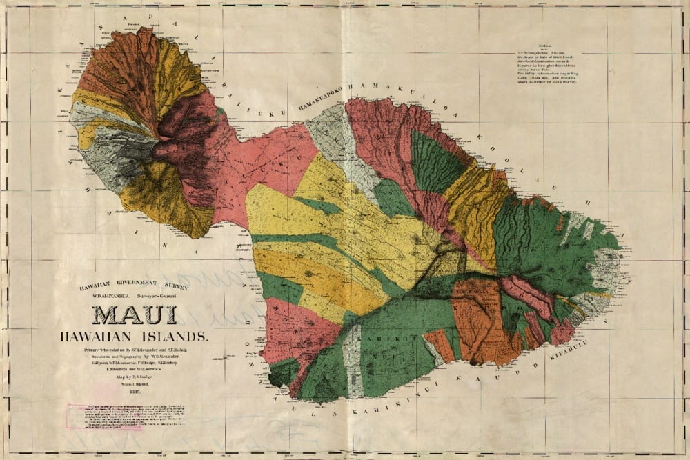 Maui, Hawaii, (1885), Panoramic Map (16x24 Giclee Gallery Art Print ...