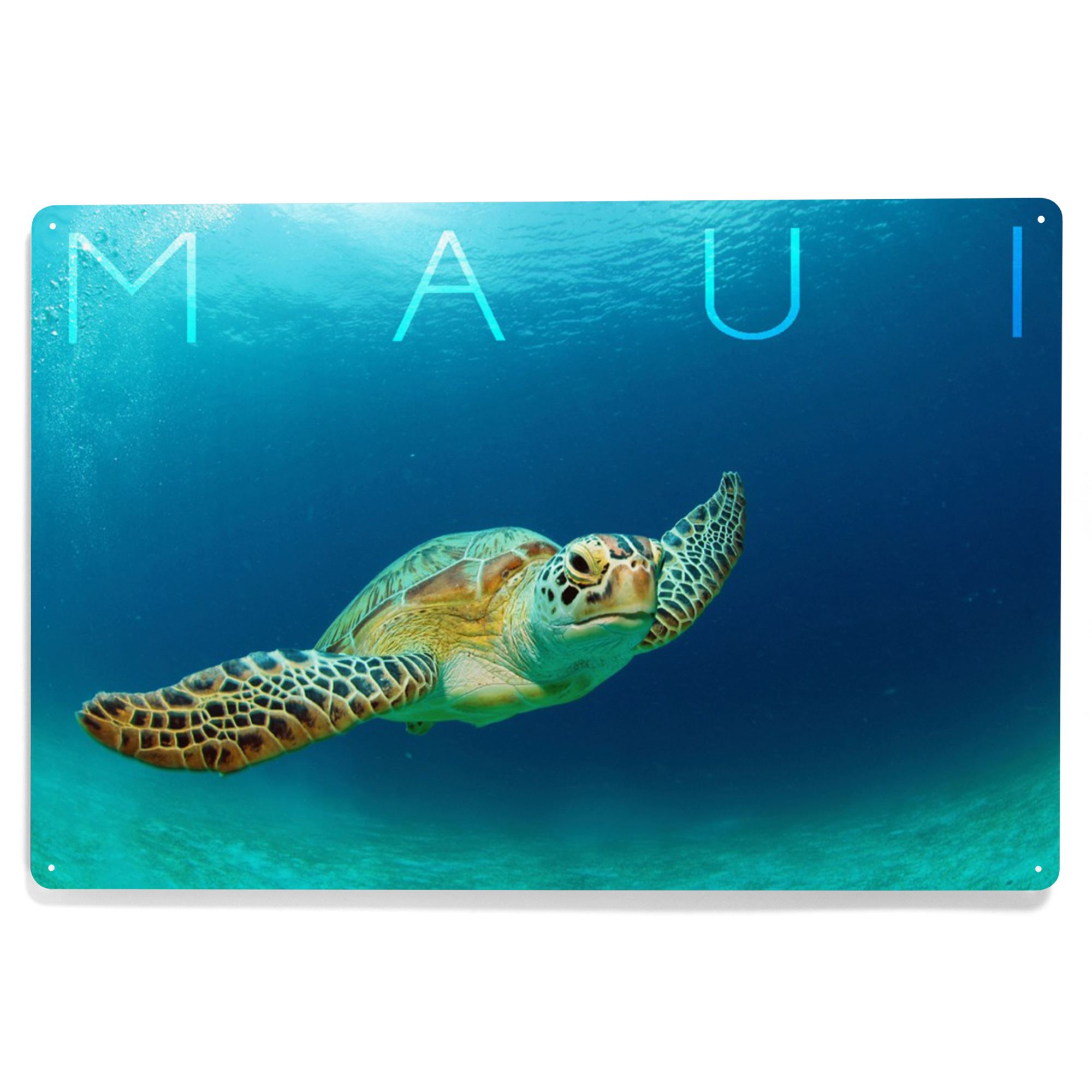 Maui, Sea Turtle (12x18 Aluminum Art, Indoor Outdoor Metal Sign Decor ...