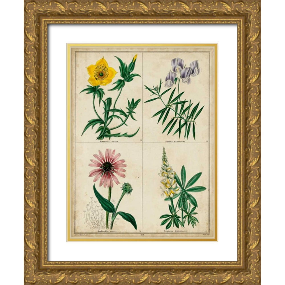 Maund, Benjamin 19x24 Gold Ornate Wood Framed with Double Matting ...