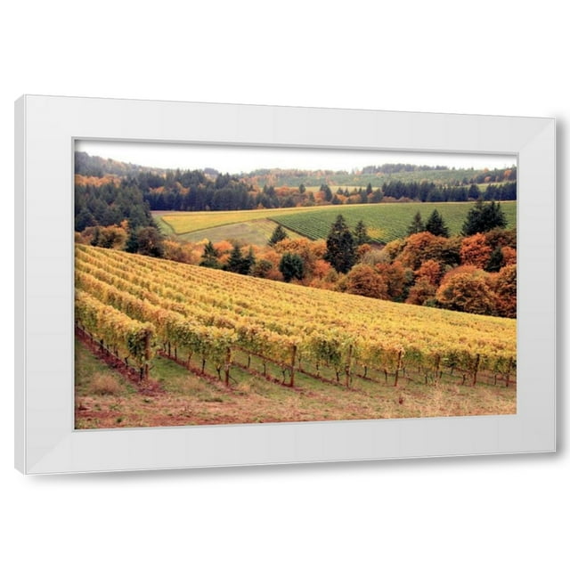 Maureen Love 14x11 White Modern Wood Framed Wall Art Titled - Fall in ...
