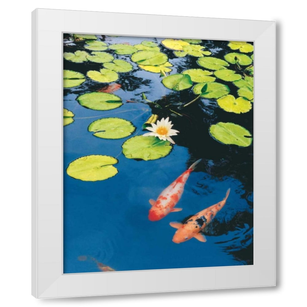 Maureen Love 15x18 White Modern Wood Framed Wall Art Titled - Koi Pond ...