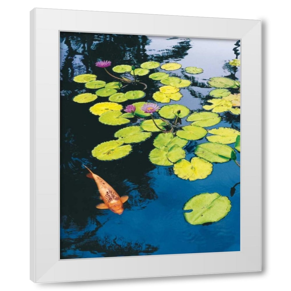 Maureen Love 26x32 White Modern Wood Framed Wall Art Titled - Koi Pond ...