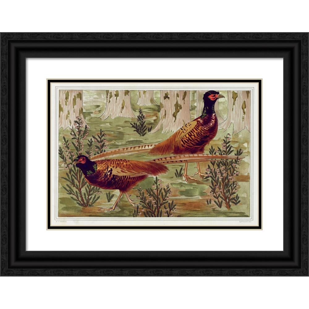 Maurice Pillard Verneuil 18x14 Black Ornate Wood Framed Double Matted ...