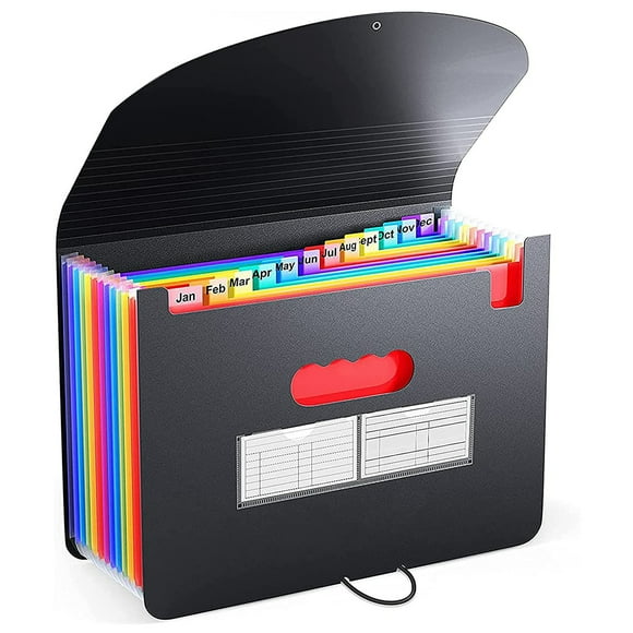 Alphabetical File Organizer