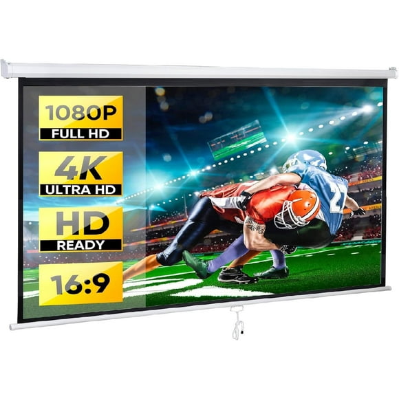 Pull Down Projector Screens