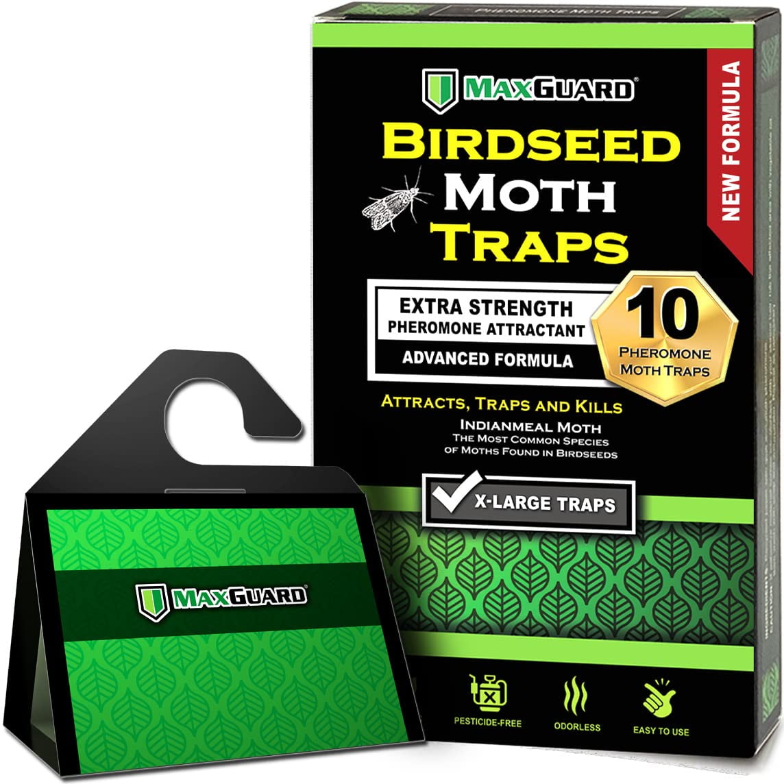 MaxGuard Birdseed Pantry Moth Traps (10 AIS1 XL Pack) Extra Strength ...
