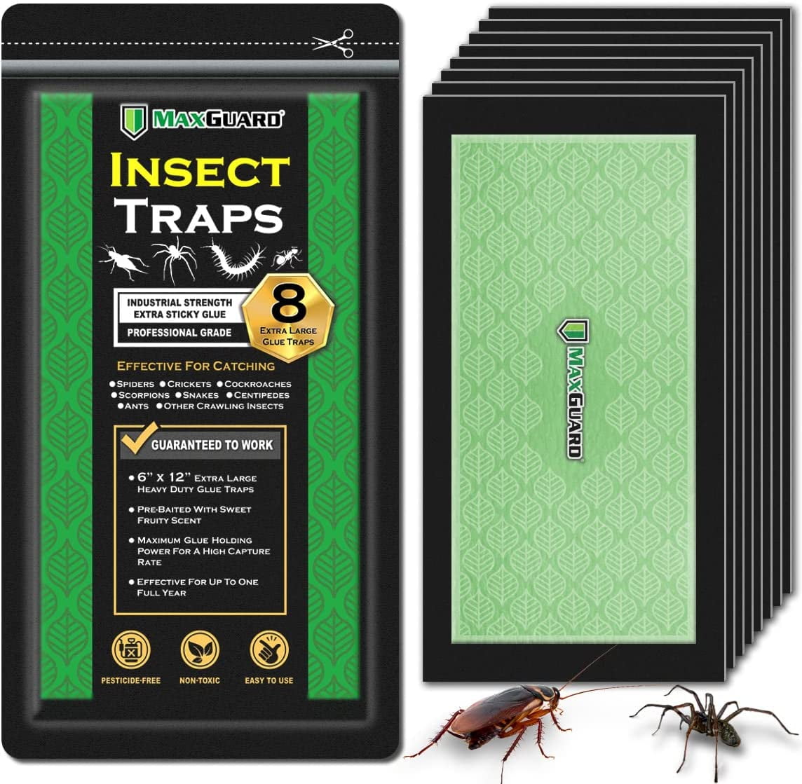 MaxGuard Extra Large Insect Traps (8 Traps) | Non-Toxic Extra Sticky ...