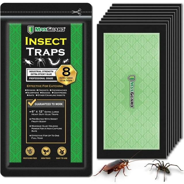 MaxGuard Extra Large Insect Traps (8 Traps) | Non-Toxic Extra Sticky ...