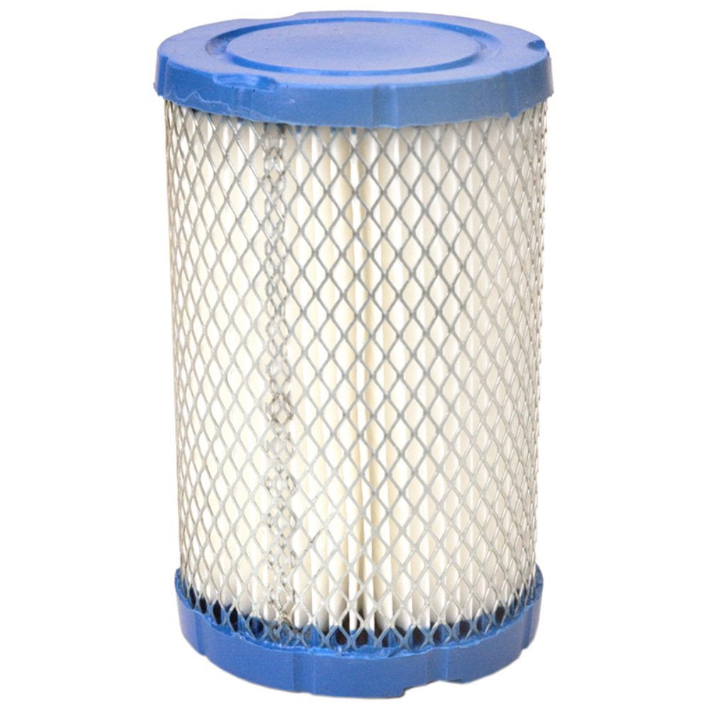 Maxpower 334395 Air Filter for Briggs and Stratton 796031 - Walmart.com
