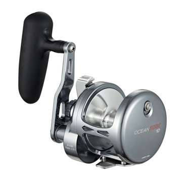 Daiwa BG Saltwater Spinning Reel - Walmart.com