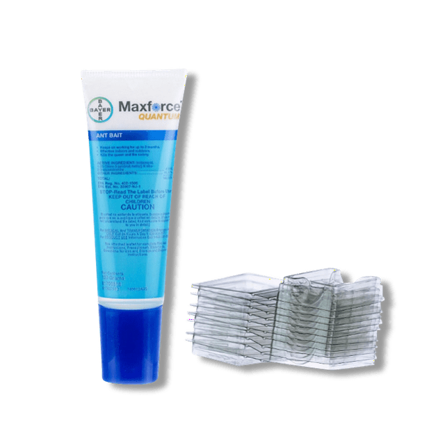 Maxforce Quantum Ant Bait Gel - 120gm, Imidacloprid, Long-Lasting ...