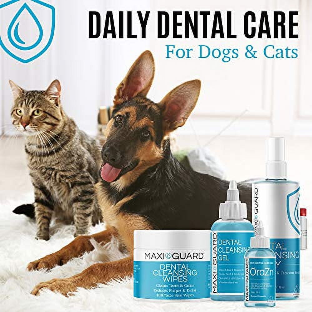Maxi-Guard Dental Cleaning Gel for Dogs, Cats, Horses, Exotics and ...