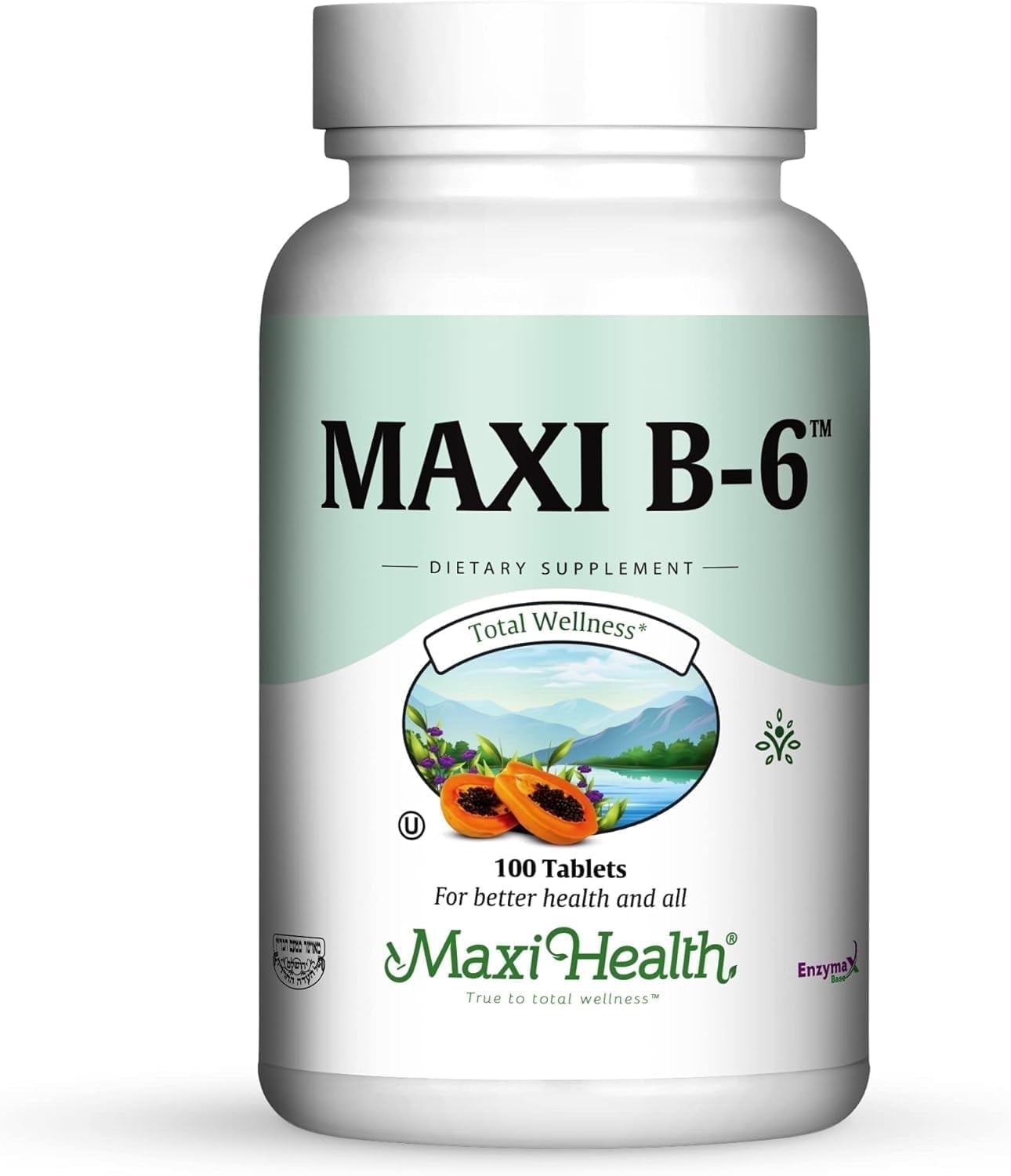 Maxi Health Vitamin B6 Dietary Supplement – 100 mg – 100 Tablets ...