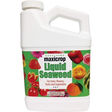 Yucca Wet, Liquid Yucca Extract- Organic wetting Agent and surfactant 1 ...