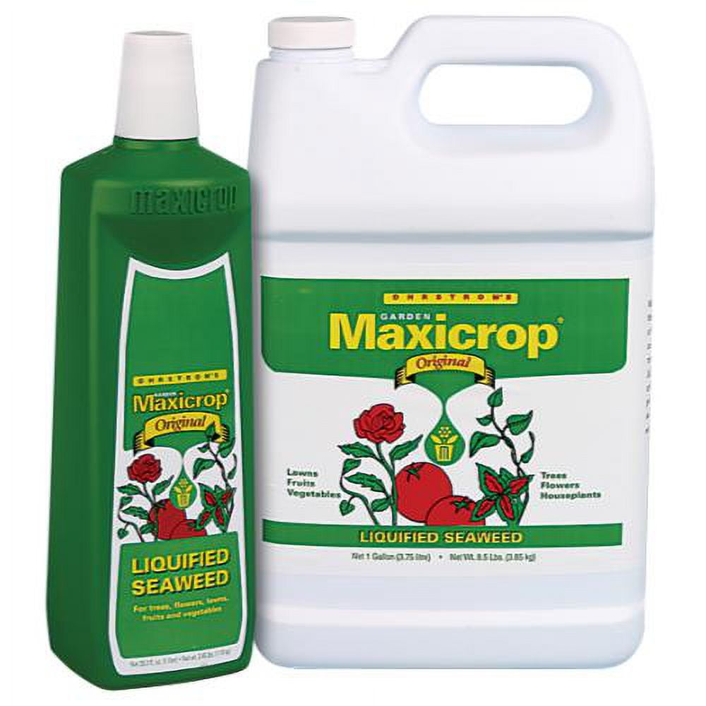 Maxicrop Original Liquid Seaweed 2.5 Gallon (2/Cs) - Walmart.com