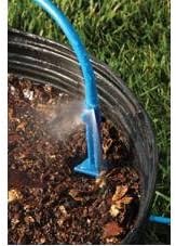 Maxijet Irrigation Nursery Stake for 1-15 Gallon Containers, 160 Degree ...