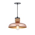 22492CP-Maxim Lighting-Bingham - 1 Light Small Pendant-5.5 Inches Tall ...