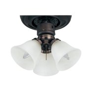 Hunter Fan Company 99135 3 Light Fitter, White - Walmart.com