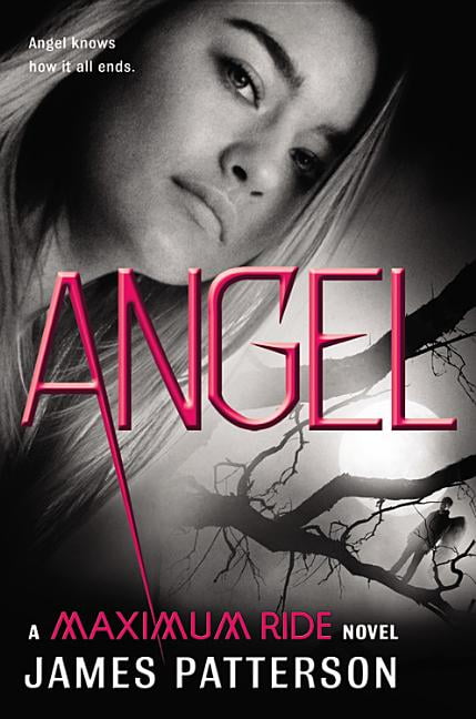 Maximum Ride Angel, Book 7, (Hardcover) - Walmart.com