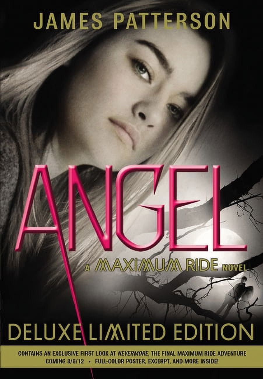 Maximum Ride Angel, Book 7, (Paperback) - Walmart.com