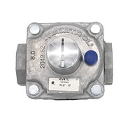 Shurflo 65 PSI Wall Mount Water Pressure Regulator, Chrome - Walmart.com
