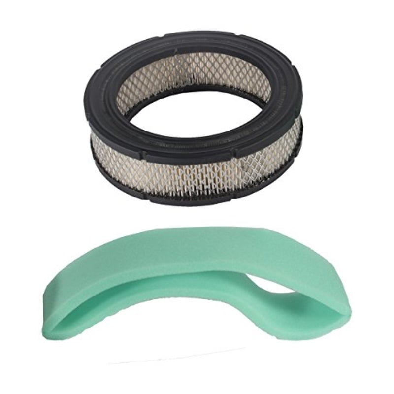 Maxpower 334392 Air Filter and Pre-Cleaner for Briggs and Stratton ...