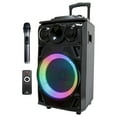 Maxpower MPD1241XB 12" Heavy Duty Karaoke Bluetooth Speaker With Heavy ...