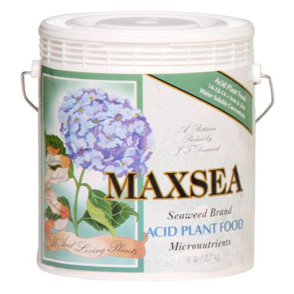 Maxsea Acidic Blueberry Plant Food 6 lb (14-18-14) for Acid Loving ...