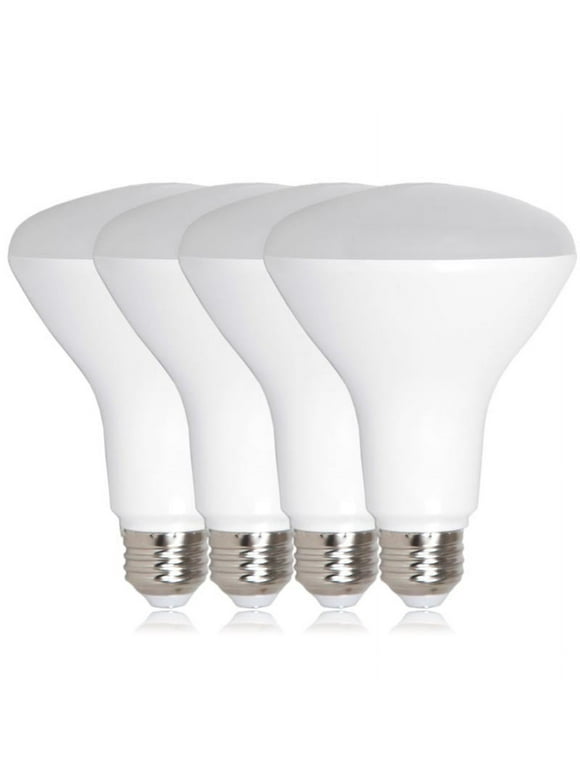 BR30 Light Bulbs in Shop Light Bulbs by Shape - Walmart.com