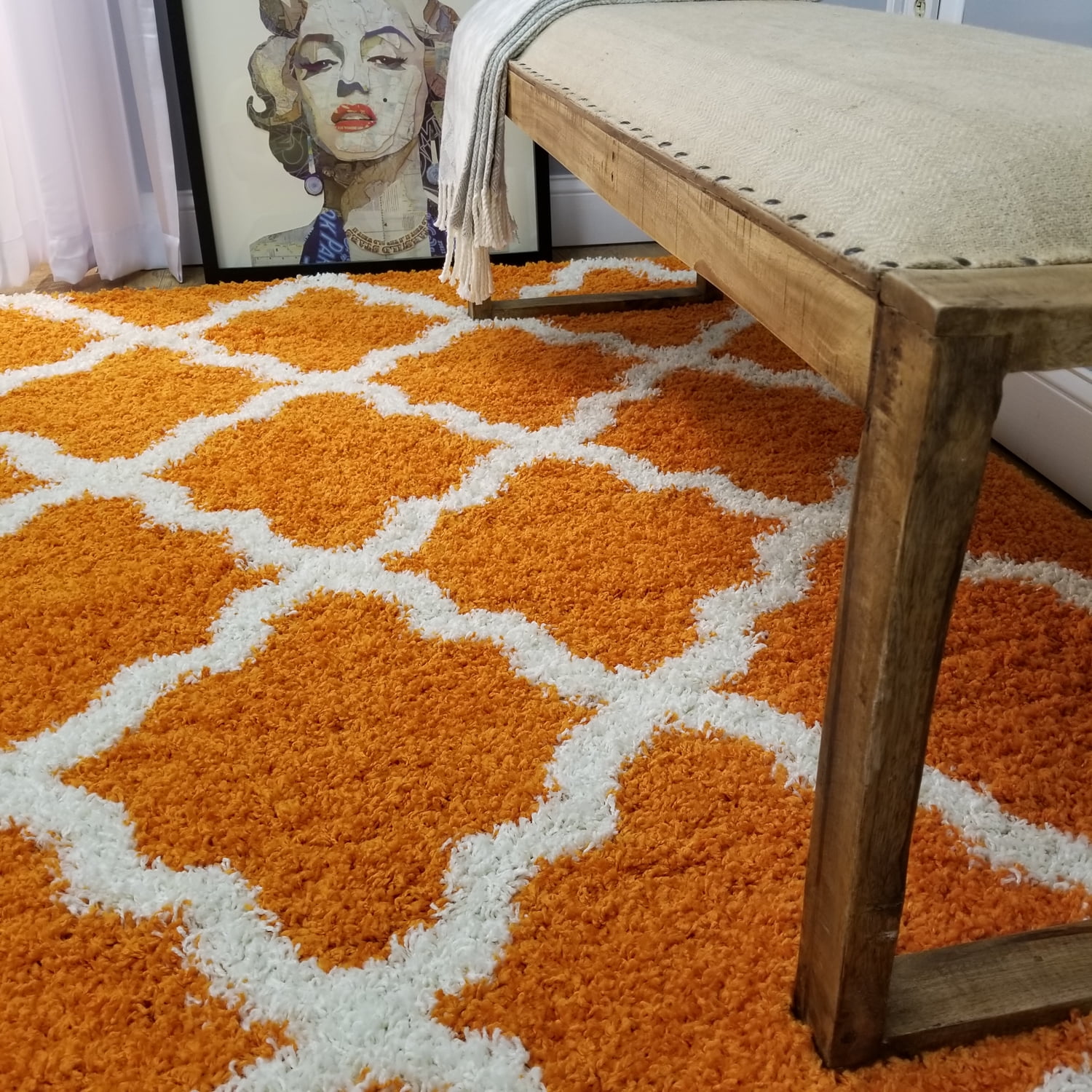 Soft Shag Area Rug 3x5 Moroccan Trellis Orange Ivory Shaggy Rug ...