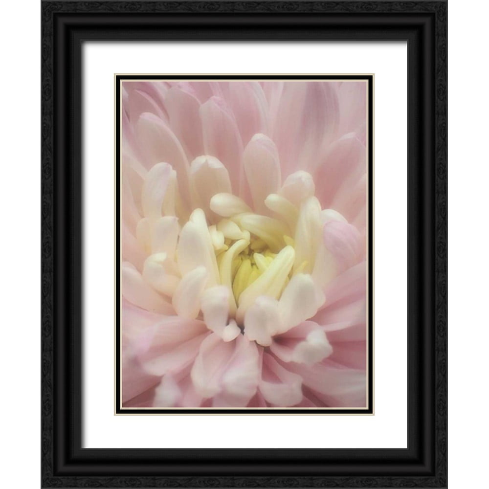 May 12x14 Black Ornate Wood Framed with Double Matting Museum Art Print ...