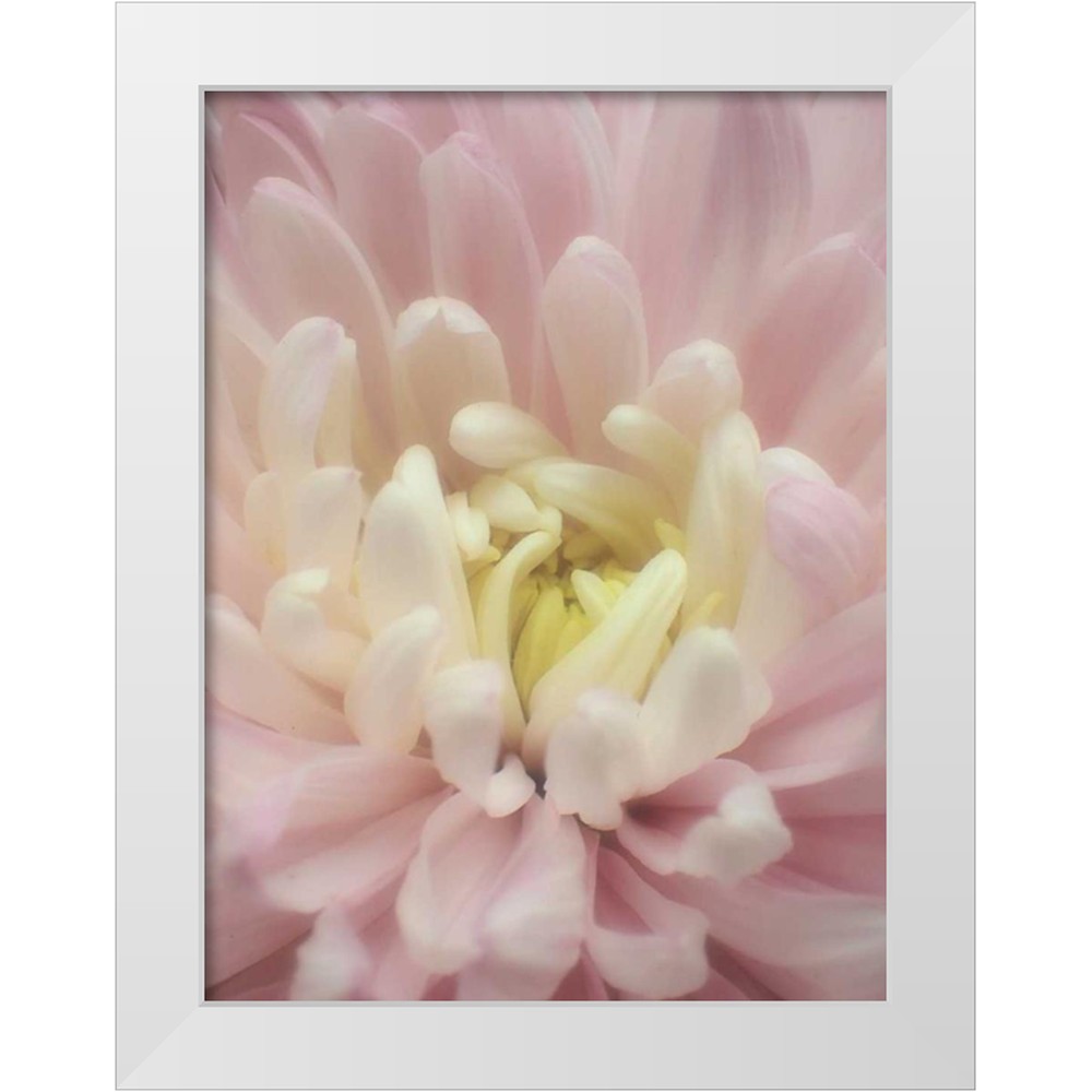 May 19x24 White Modern Wood Framed Museum Art Print Titled - Blume ...
