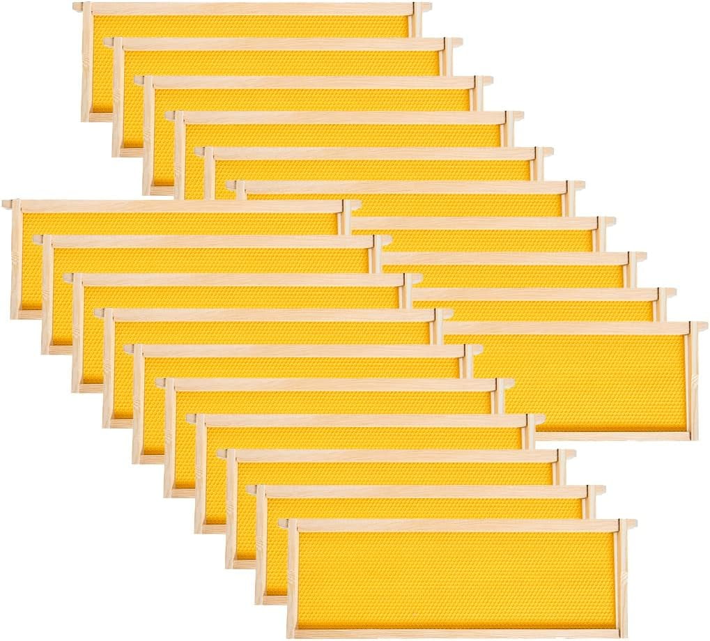 MayBee 20 Pack Honey Bee Frames with 100% Beeswax Coated Food Grade ...